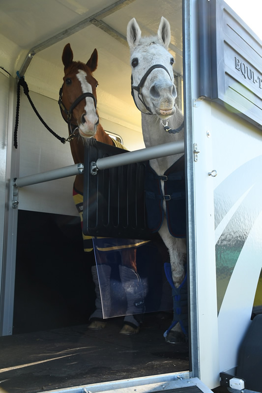 Global Selleria｜Equi-Trek Apollo（ホーストレーラー）のご紹介